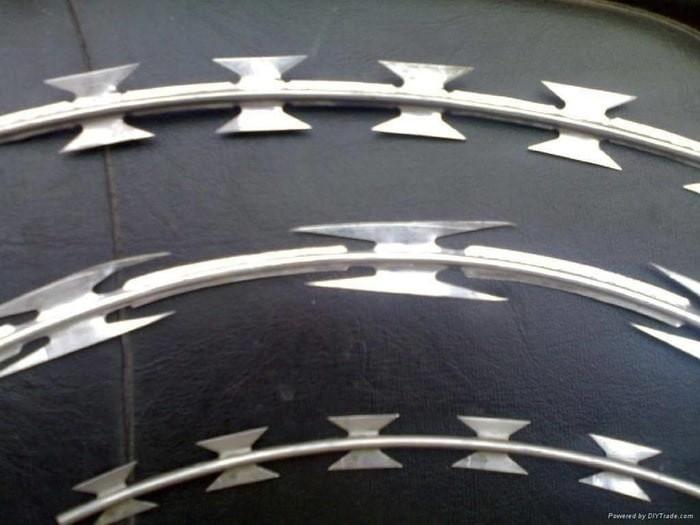 Kawat Duri Silet Razor Wire | Lazada Indonesia