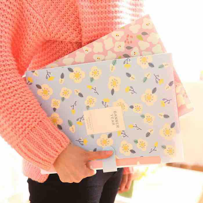 Map Plastik Folio Sekat 5 Bunga Breezy Windy | Lazada Indonesia