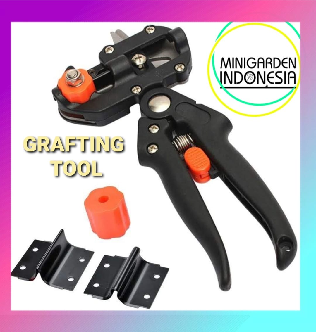 GRAFTING TOOL & PRUNING SCISSOR alat sambung pucuk gunting pruning ...