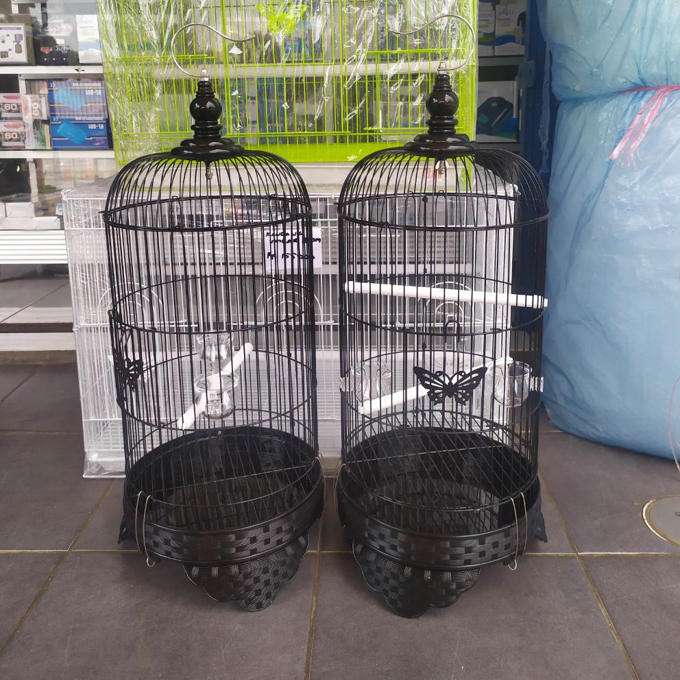 Kandang Burung Besi Size S Pleci, Conin, dan burung Kecil Lainnya ...