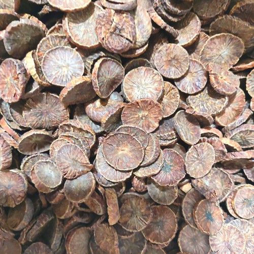 Pinang kering super 1kg - jambe super | Lazada Indonesia