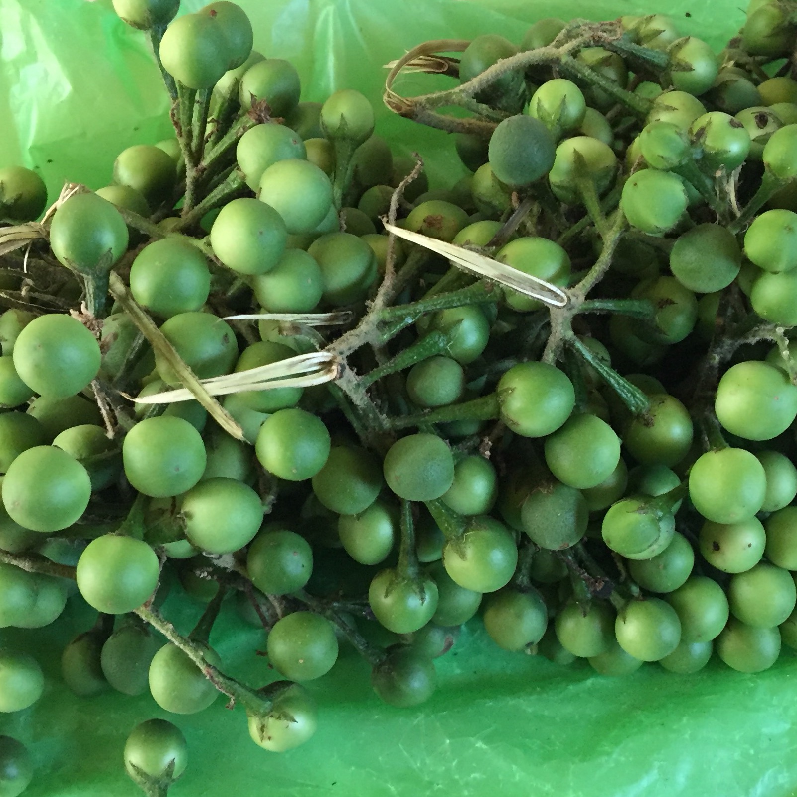 Buah cepoka / tekokak 1/2 kg | Lazada Indonesia