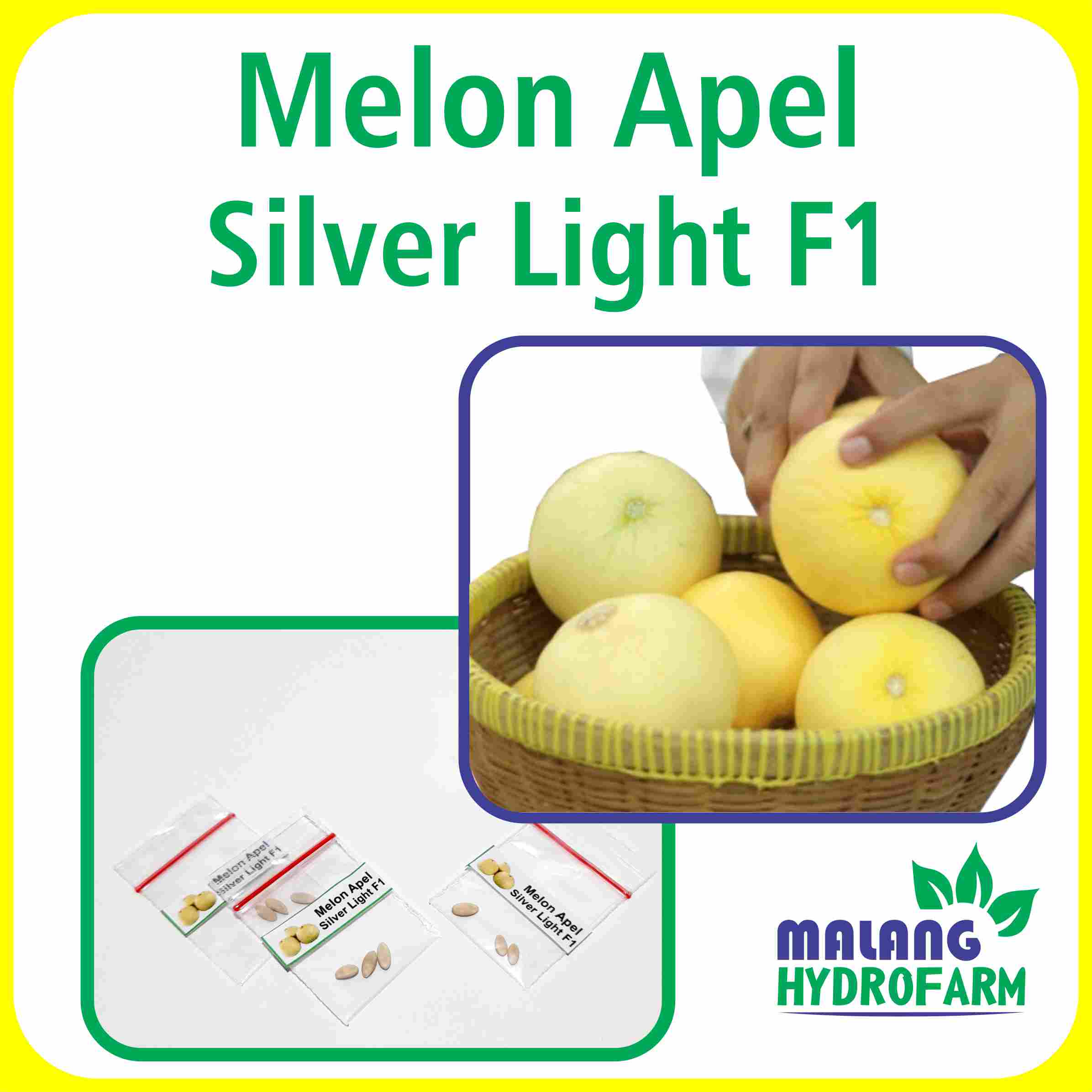Benih Melon Apel Silver Light F1 Unggulan Berkualitas biji bibit repack ...
