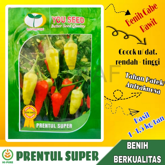 Benih Cabe Cabai Rawit PRENTUL SUPER 10 Gram Cap You Seed | Lazada ...