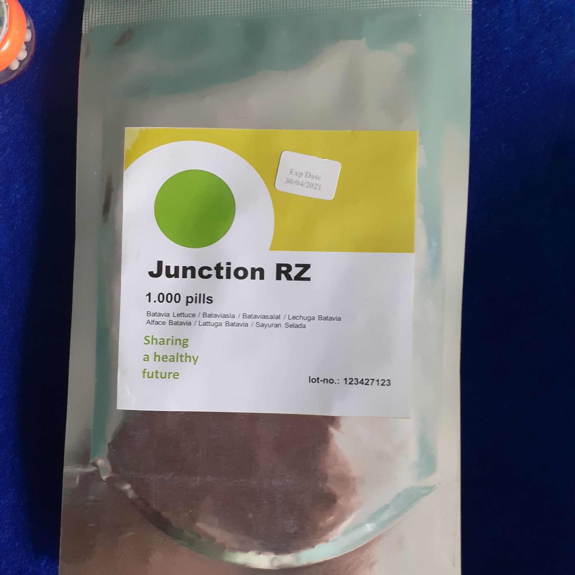 Benih selada batavia RZ Junction isi 1000 | Lazada Indonesia