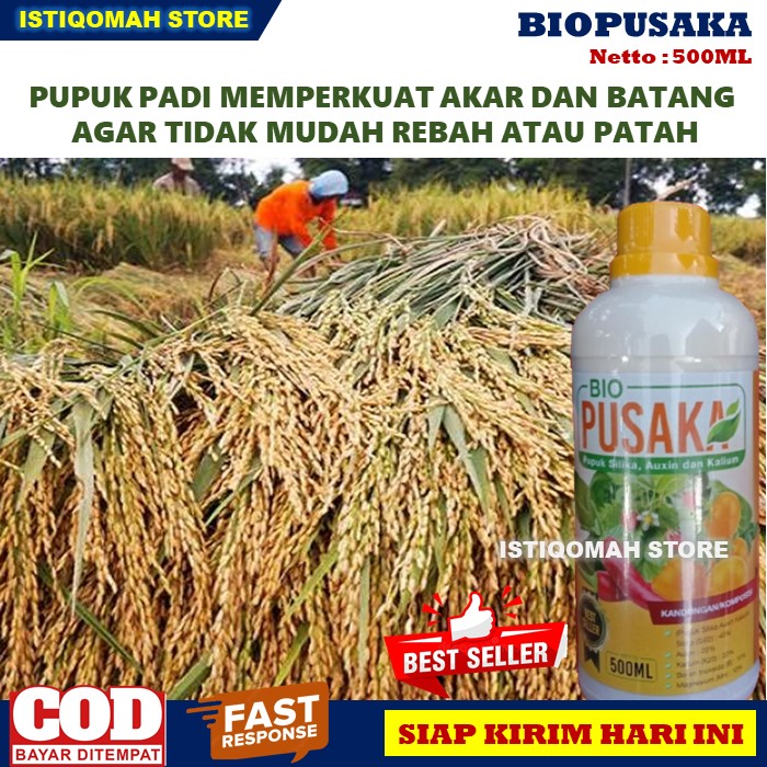 PUPUK PADI BIO PUSAKA 500ML Pupuk Semprot Untuk Memperkuat Akar Dan ...