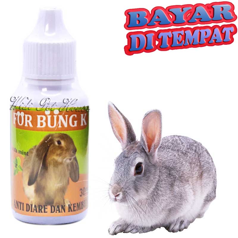 Obat Mencret Diare Kembung Kelinci For Bung K | Lazada Indonesia Obat Mencret Diare Kembung Kelinci For Bung K | Lazada Indonesia