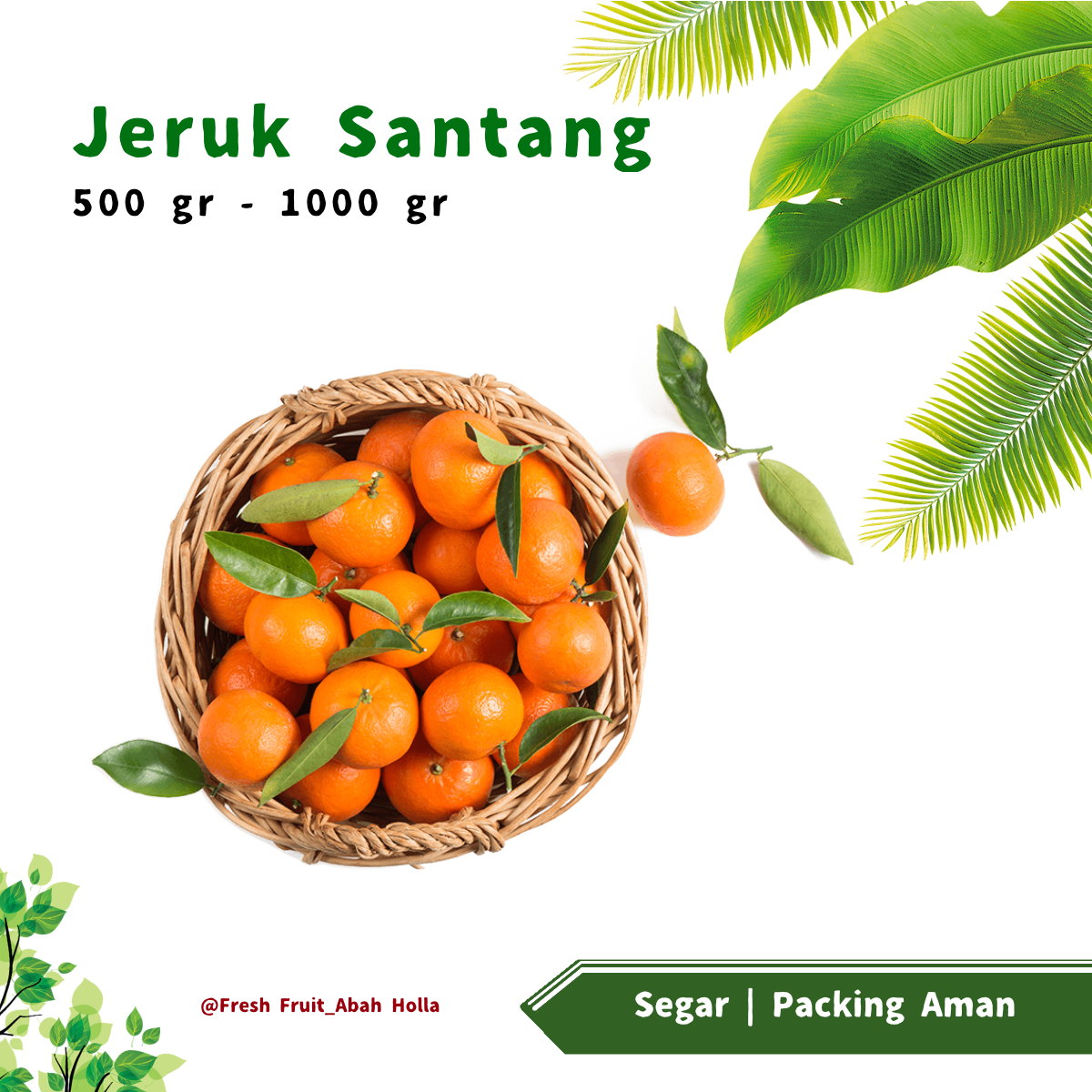 JERUK | JERUK SANTANG | JERUK MINI | MANIS | SEGAR | 1 KG | PACKING ...