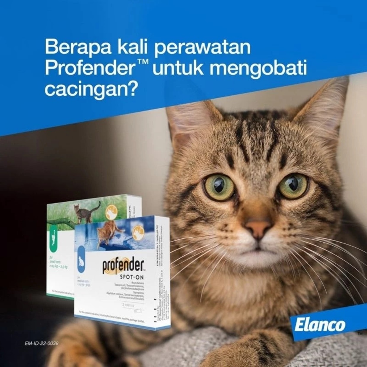 Profender obat cacing kucing 1 tube spot on cat small berat 0 - 2,5 kg | Lazada Indonesia
