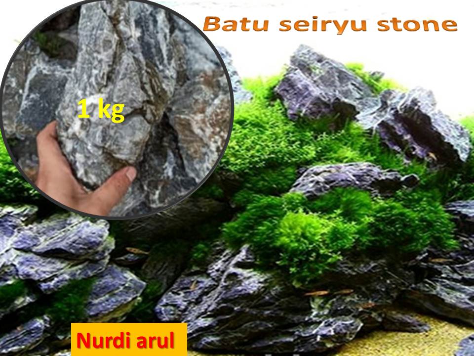 jual batu seiryu stone 1 kg untuk aquarium aquascape | Lazada Indonesia