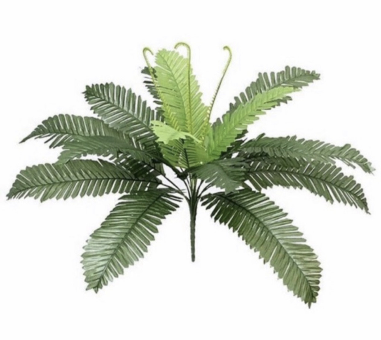 Daun Pakis Besi - Daun Dekorasi / Daun Artificial / Daun Dekorasi ...