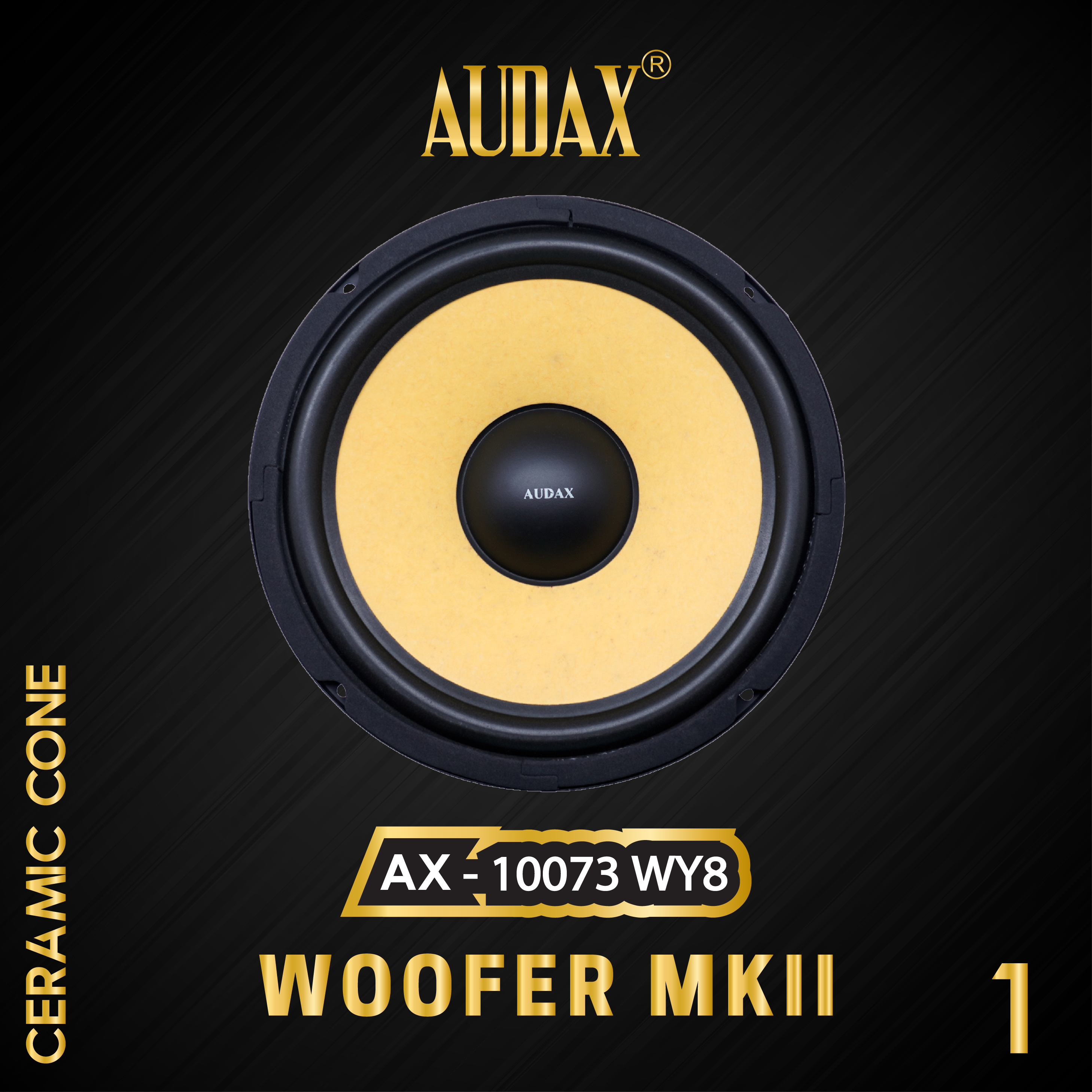 Audax Speaker 10" AX 10073 WY8 Ceramic Cone Woofer MK II | Lazada Indonesia