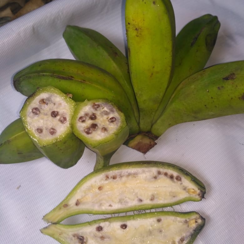 Pisang batu 1 kg | Lazada Indonesia