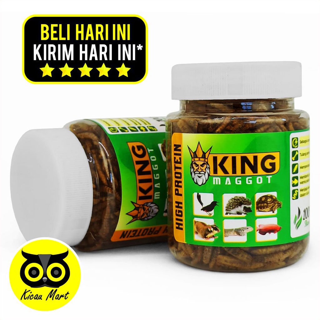 KING MAGGOT SEMPATI LARVA BSF SUPER DRY MAGGOT MAGOT KERING PAKAN ...