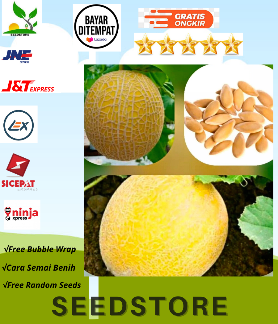 isi 3 Benih Biji Melon Inthanon Sweet Repacking | Lazada Indonesia