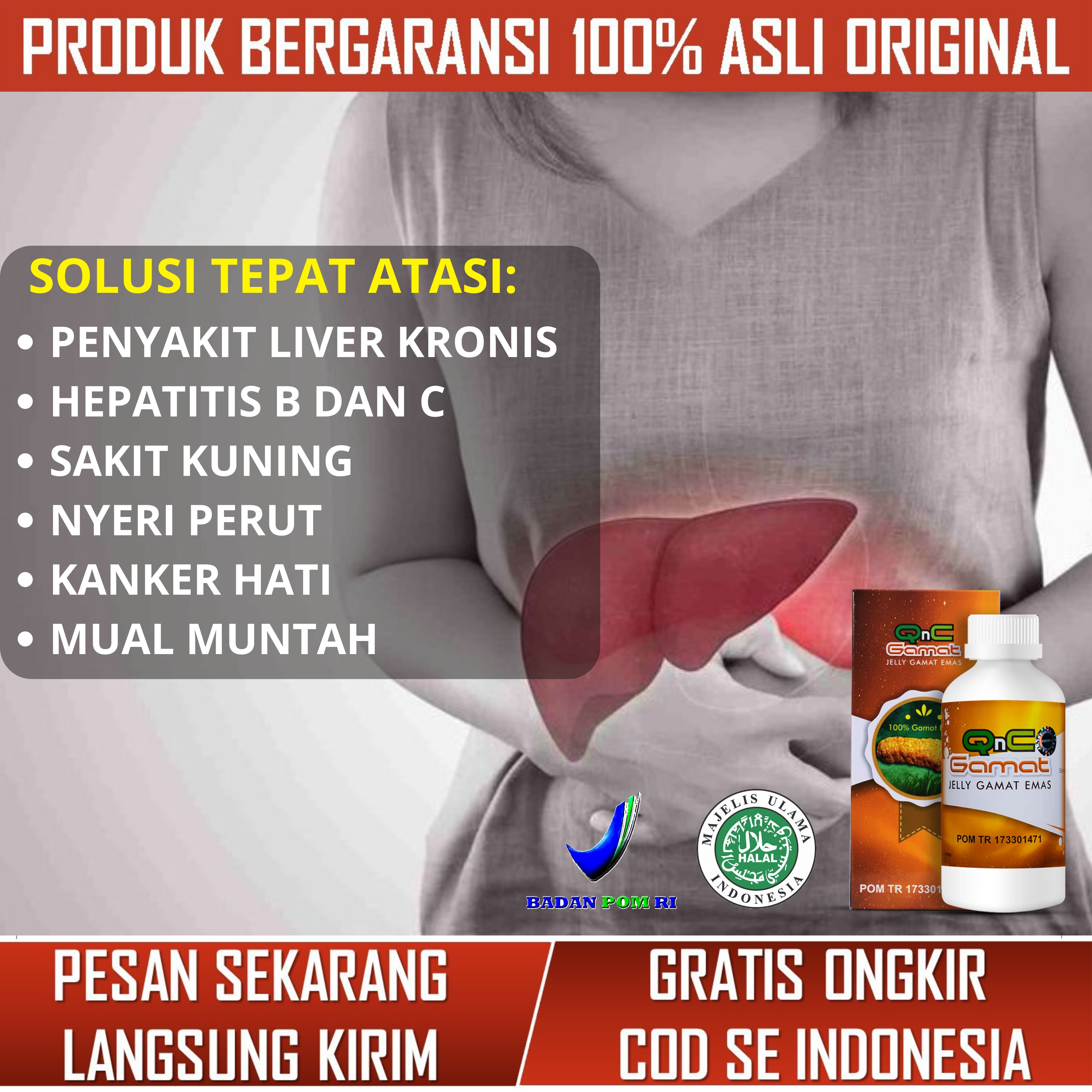 QnC Jelly Gamat Solusi Obat Liver Kronis Bengkak, Abses Hati, Hepatitis ...