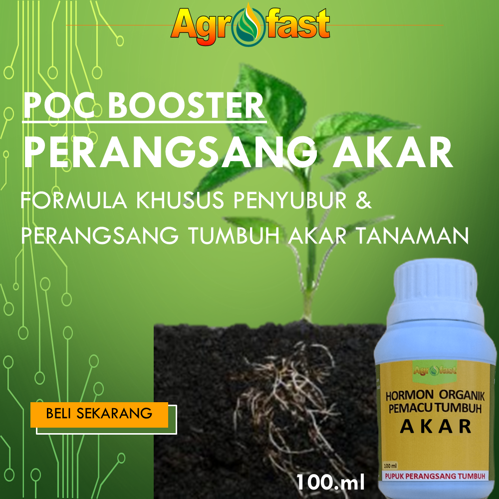 Pupuk Booster Akar Tanaman, anggrek,stek,cangkok,singkong,Perangsang ...