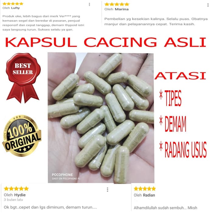 KAPSUL CACING TANAH ASLI UNTUK TIPES DAN DEMAM 12 KAPSUL | Lazada Indonesia