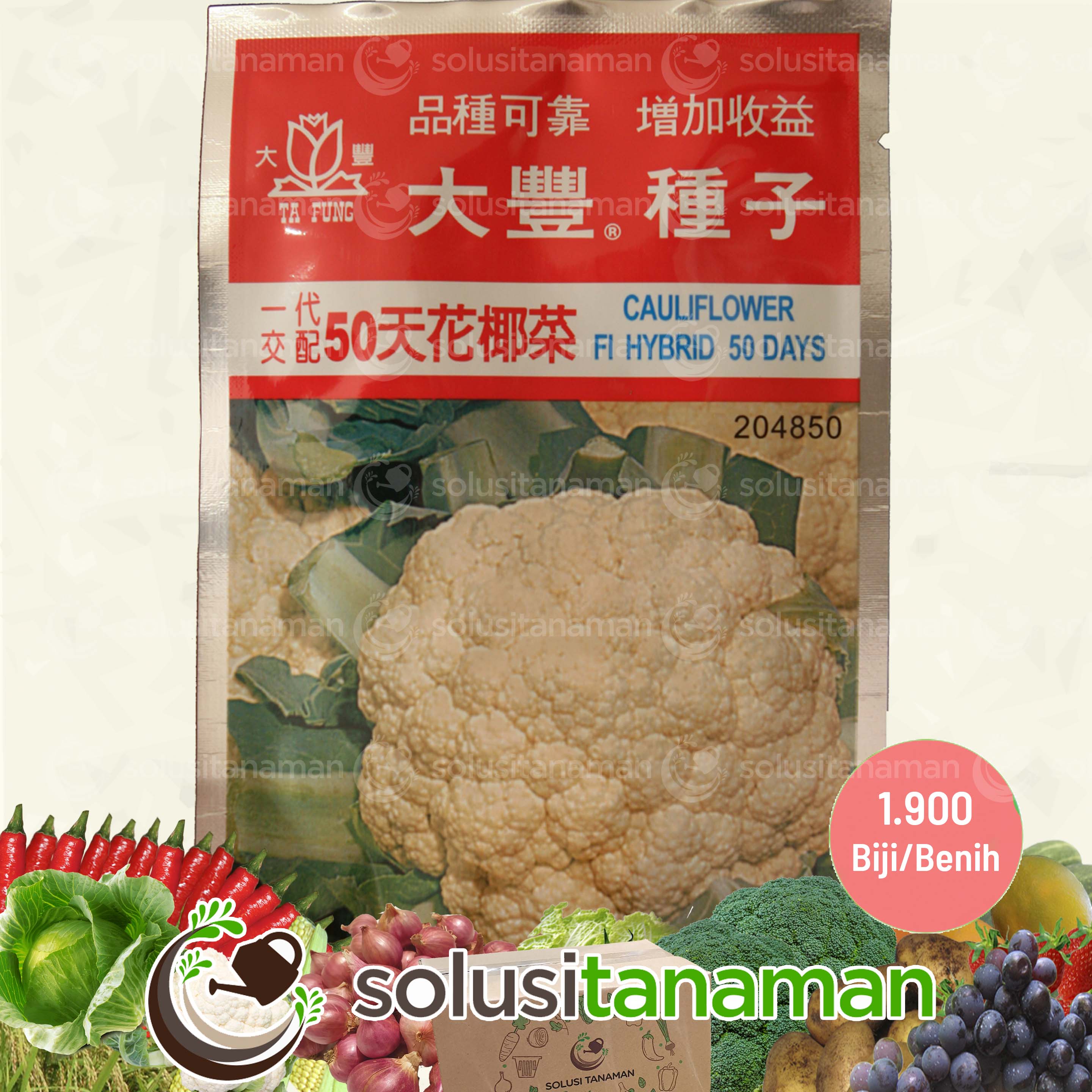 Benih Bunga Kol Cauliflower 50 Days 10gr (1.900 Biji) Bibit Kembang Kol ...