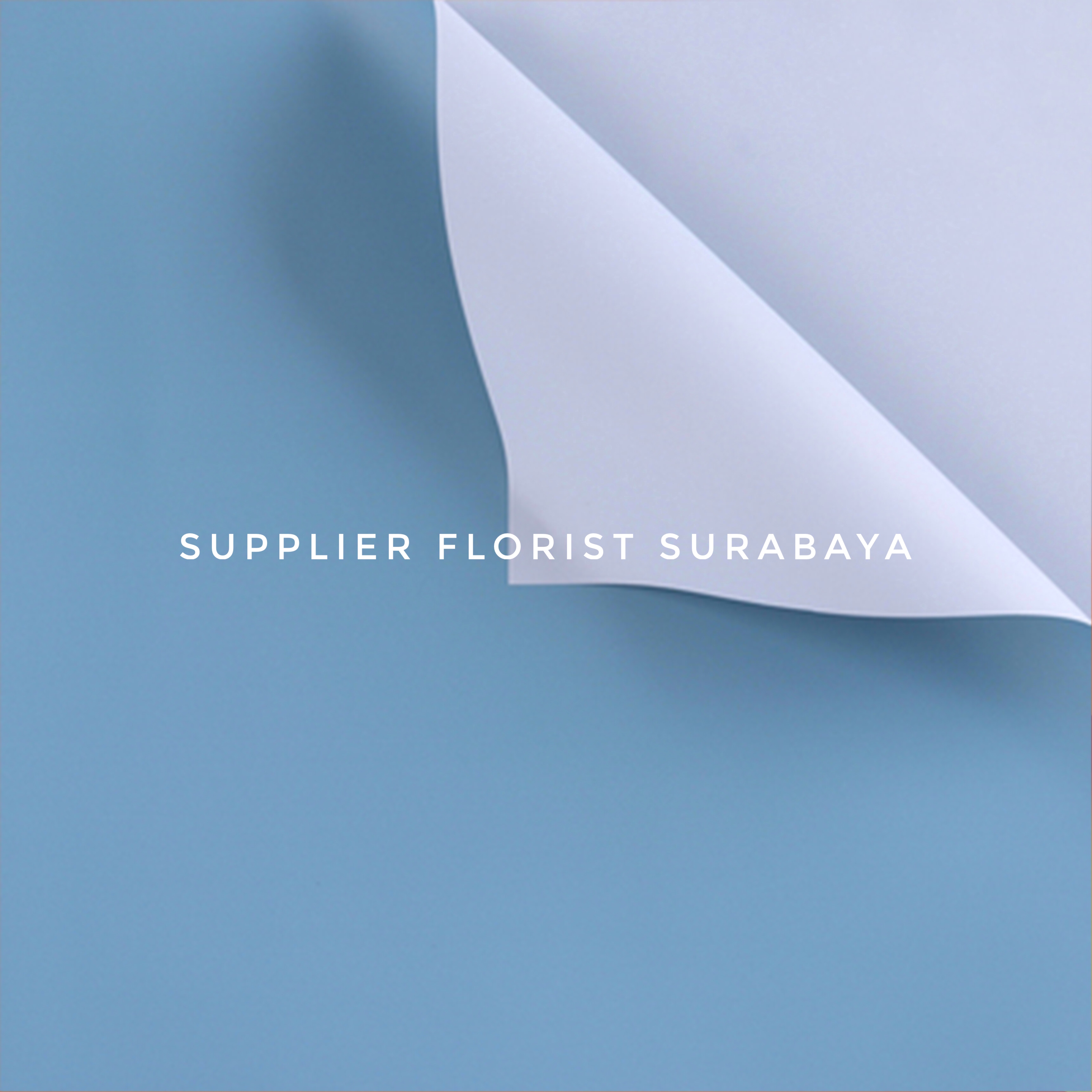 [ECER PER LEMBAR] KERTAS BUNGA BICOLOR/WRAPPING PAPER/ WRAP BUNGA ...