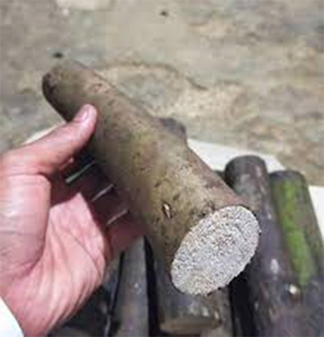 Kayu Lemo Atau Kayu Ular Asli Dari Garut Kualitas Grade A - Kayu Lemi ...