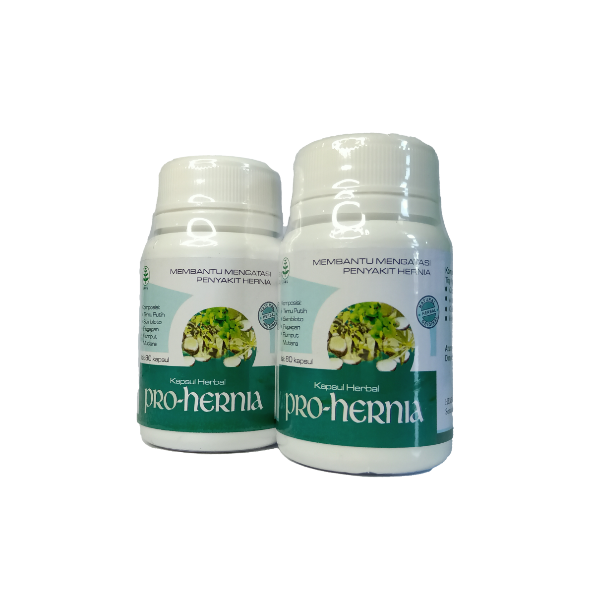 Obat Herbal untuk Hernia atau Turun Bero dengan Kapsul Herbal Pro ...