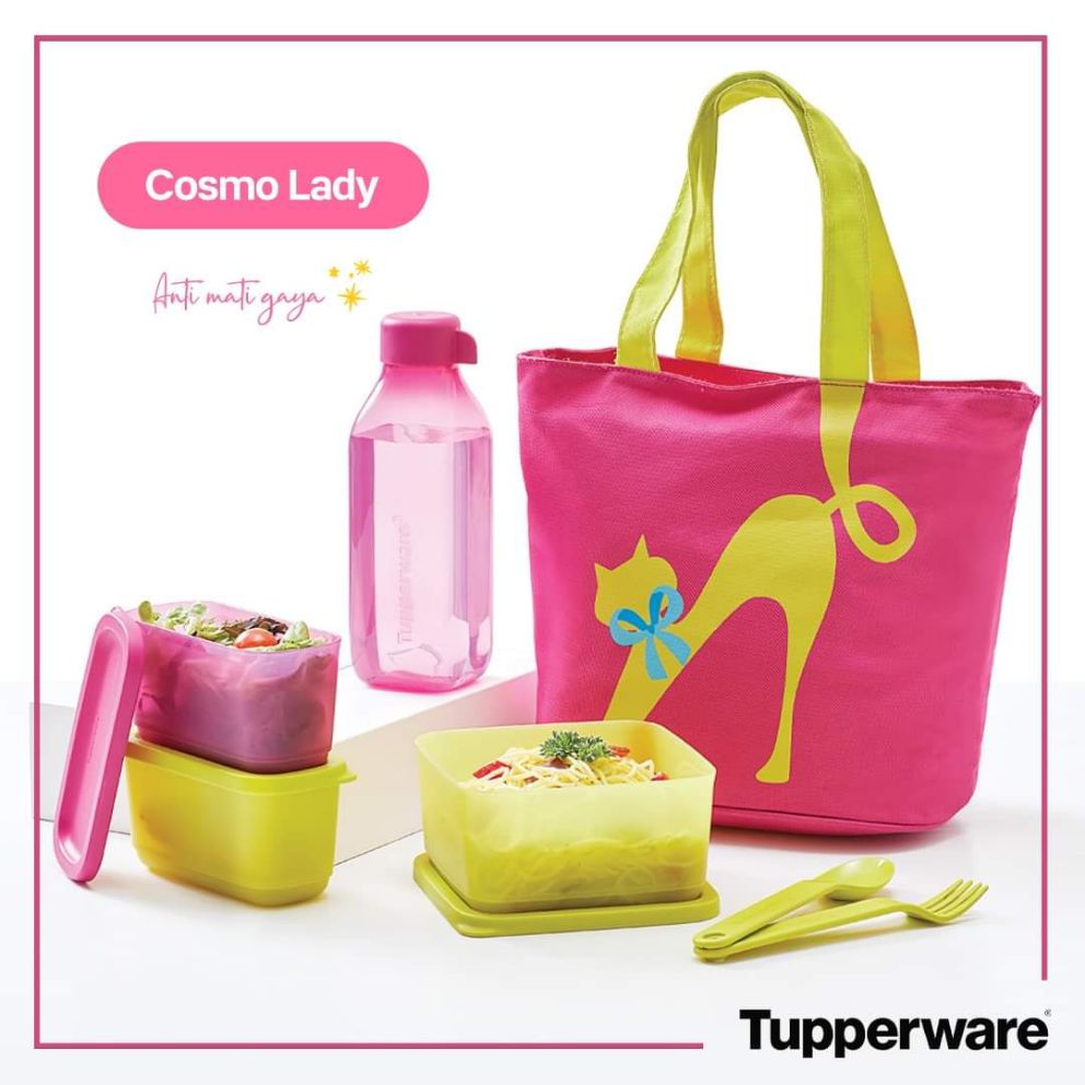 Tupperware Cosmo Lady | Lazada Indonesia