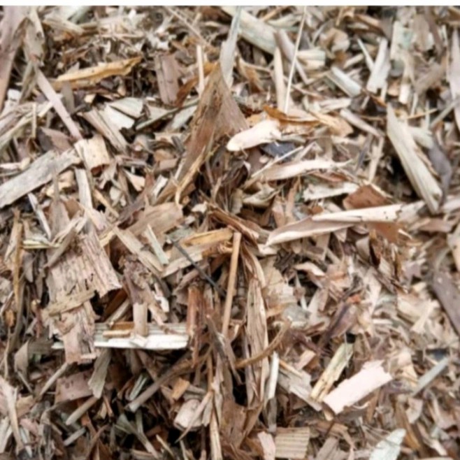 Daun bambu kering media tanaman per 1 kg | Lazada Indonesia