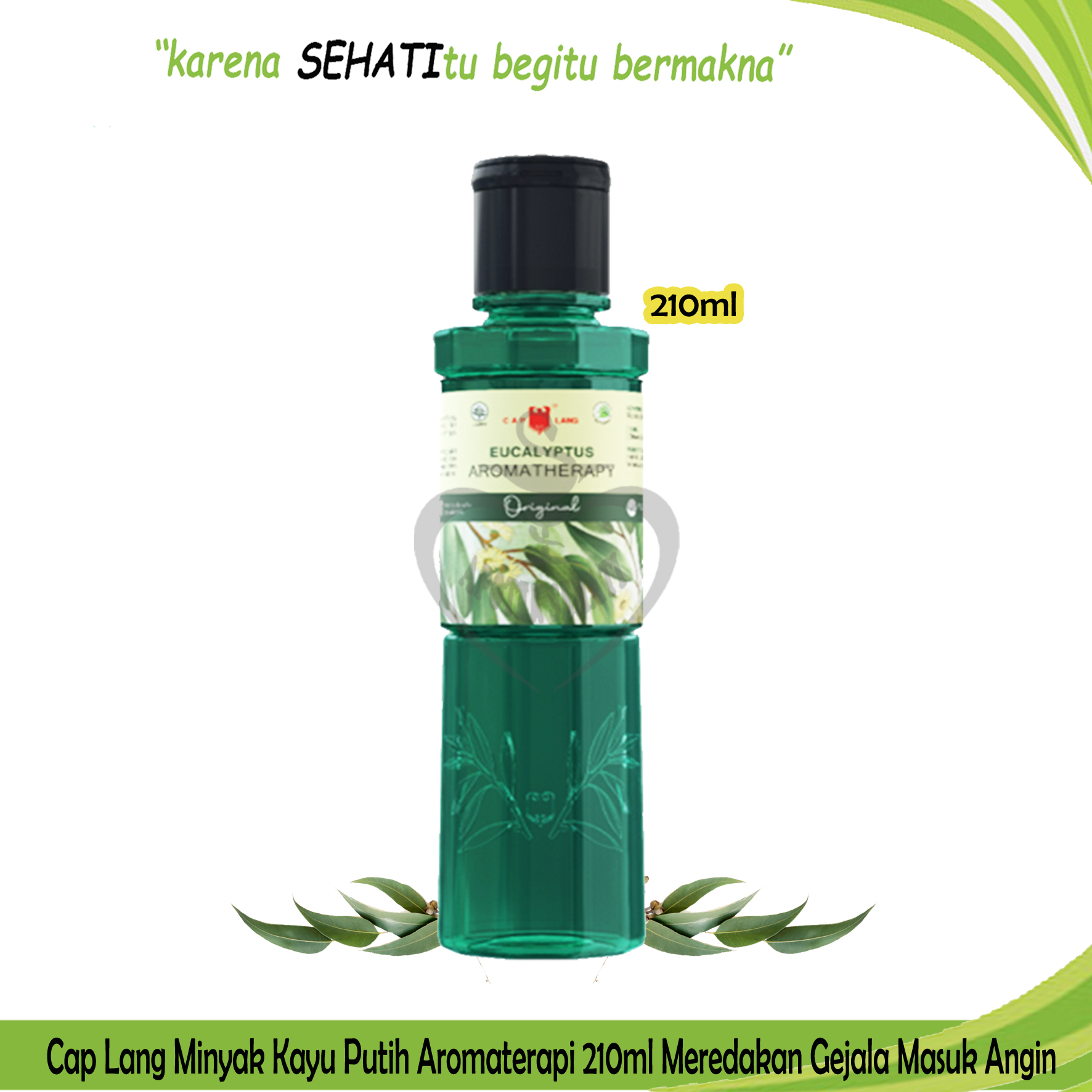 Minyak Kayu Putih Cap Lang Eucalyptus Aromaterapi Original Menghangatkan Tubuh | Lazada Indonesia