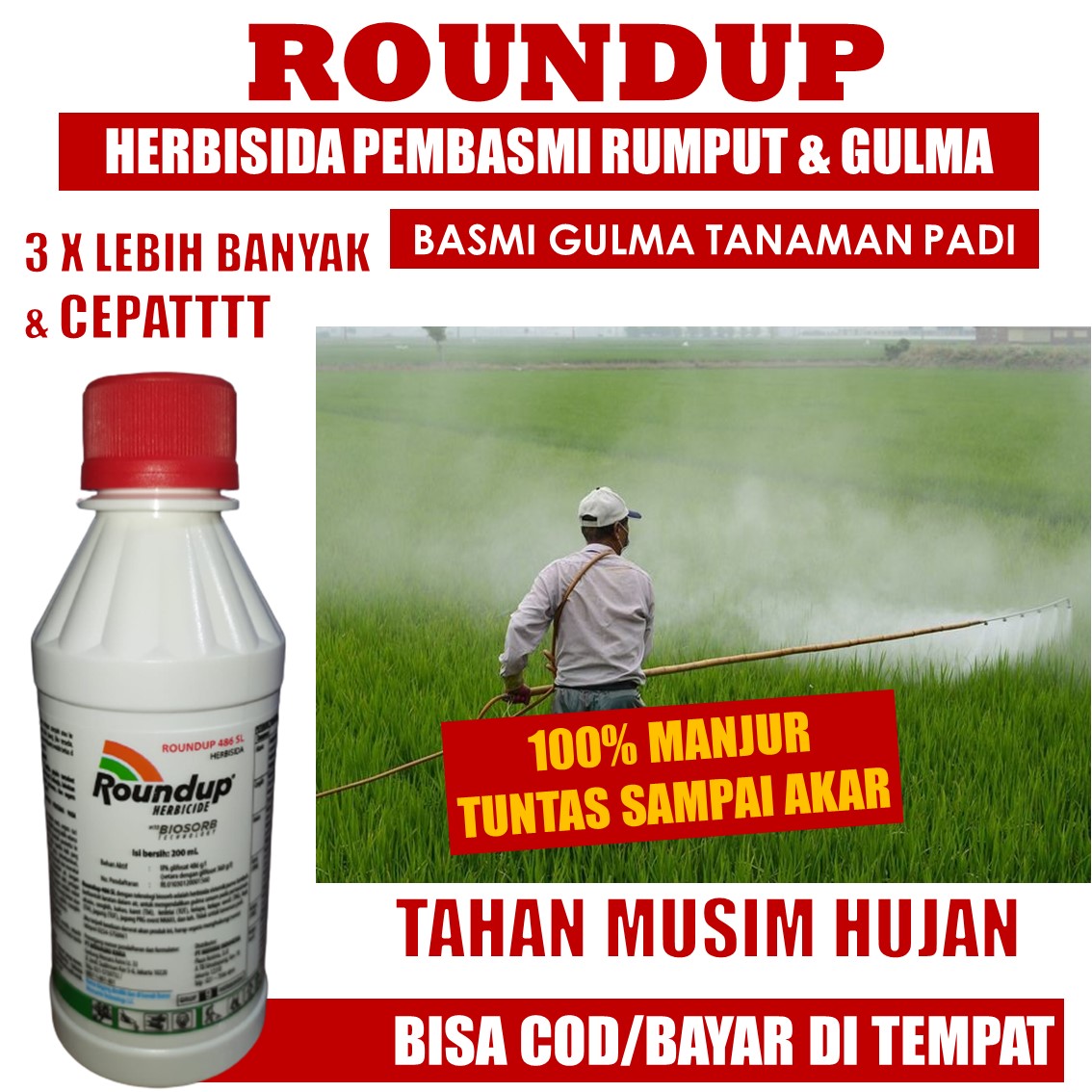 PROMO Roundup Herbisida Pembasmi Rumput Liar Dan Gulma Tanaman Padi ...