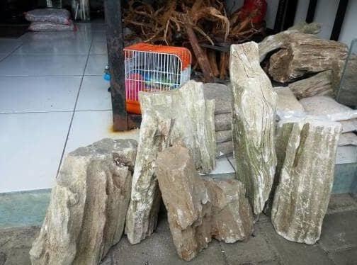 BATU FOSSIL KAYU AQUASCAPE AQUARIUM 1 KG / BATU DEKORASI AQUASCAPE ...