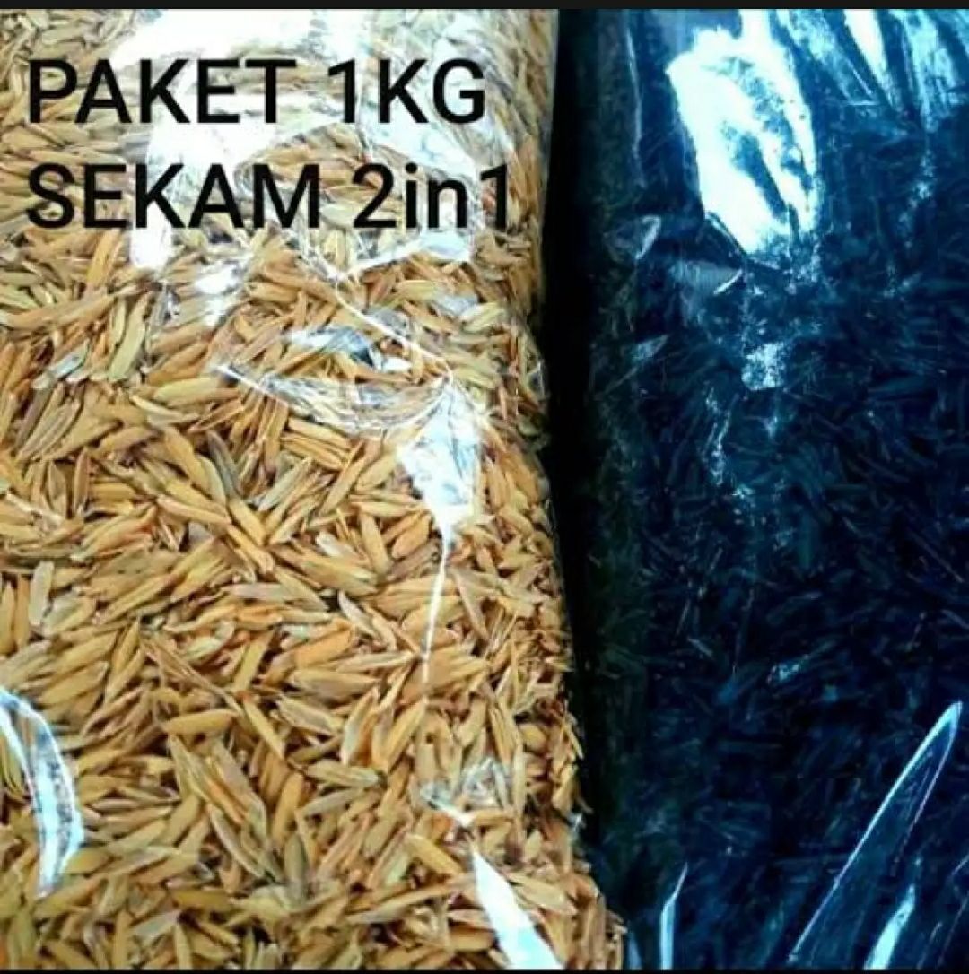paket media tanam sekam bakar dan sekam mentah/kulit padi 1 kg | Lazada ...