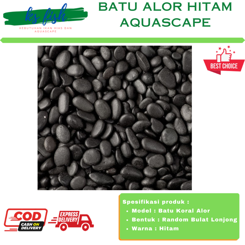 Batu Alor bali / Batu Hitam / Aquascape / 1 kg AQUARIUM AQUASCAPE ...