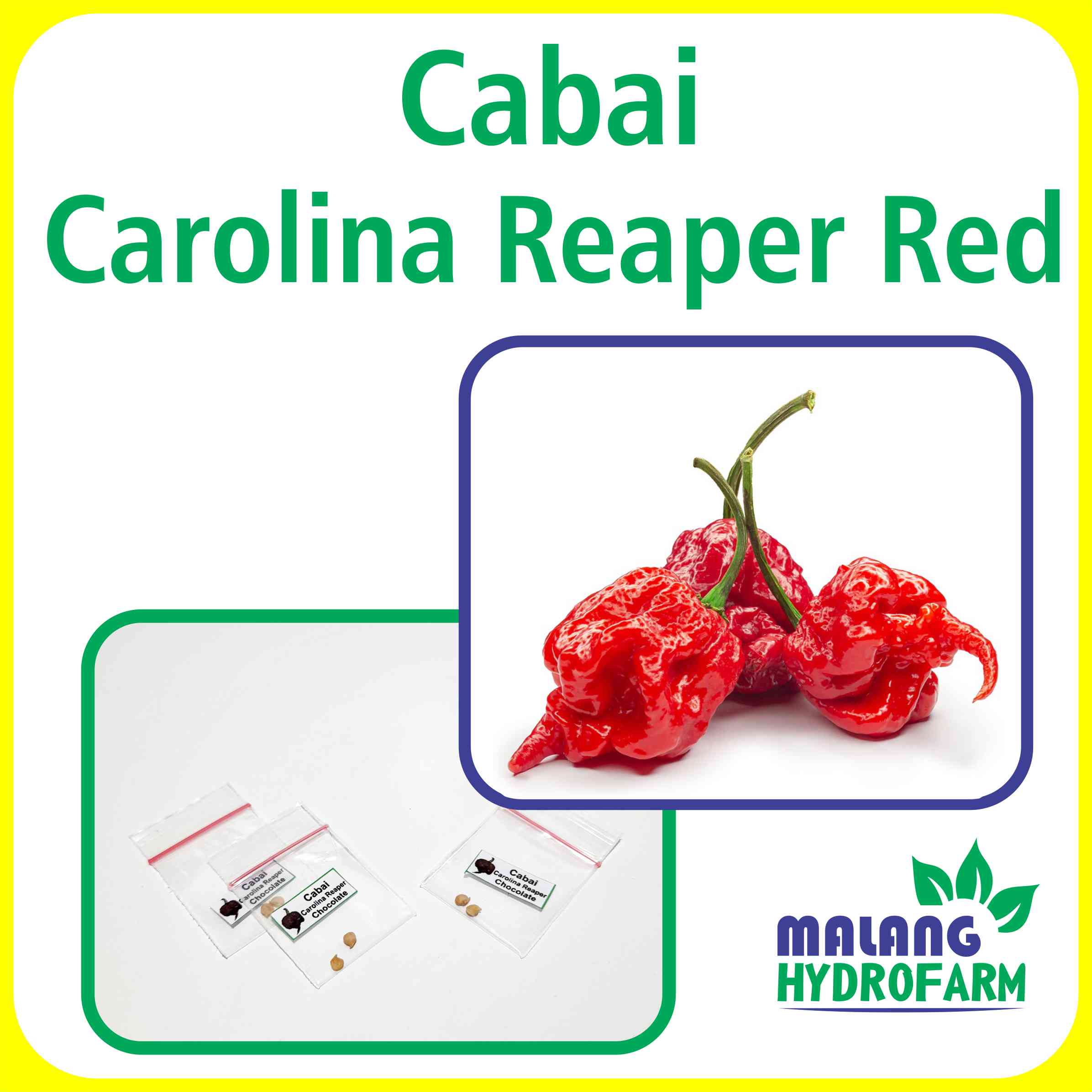 Benih Cabai Carolina Reaper Red Unggulan Berkualitas Biji Bbit repack ...