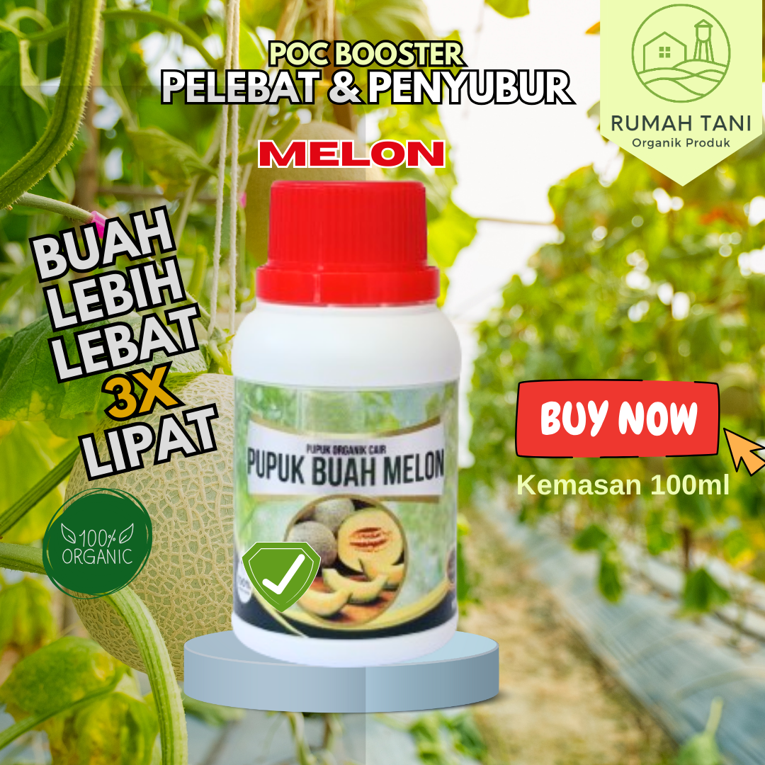 Pupuk Penyubur Melon Pupuk Cair Pembesar Buah Melon Pupuk Organik Cair POC Buah TOP ...