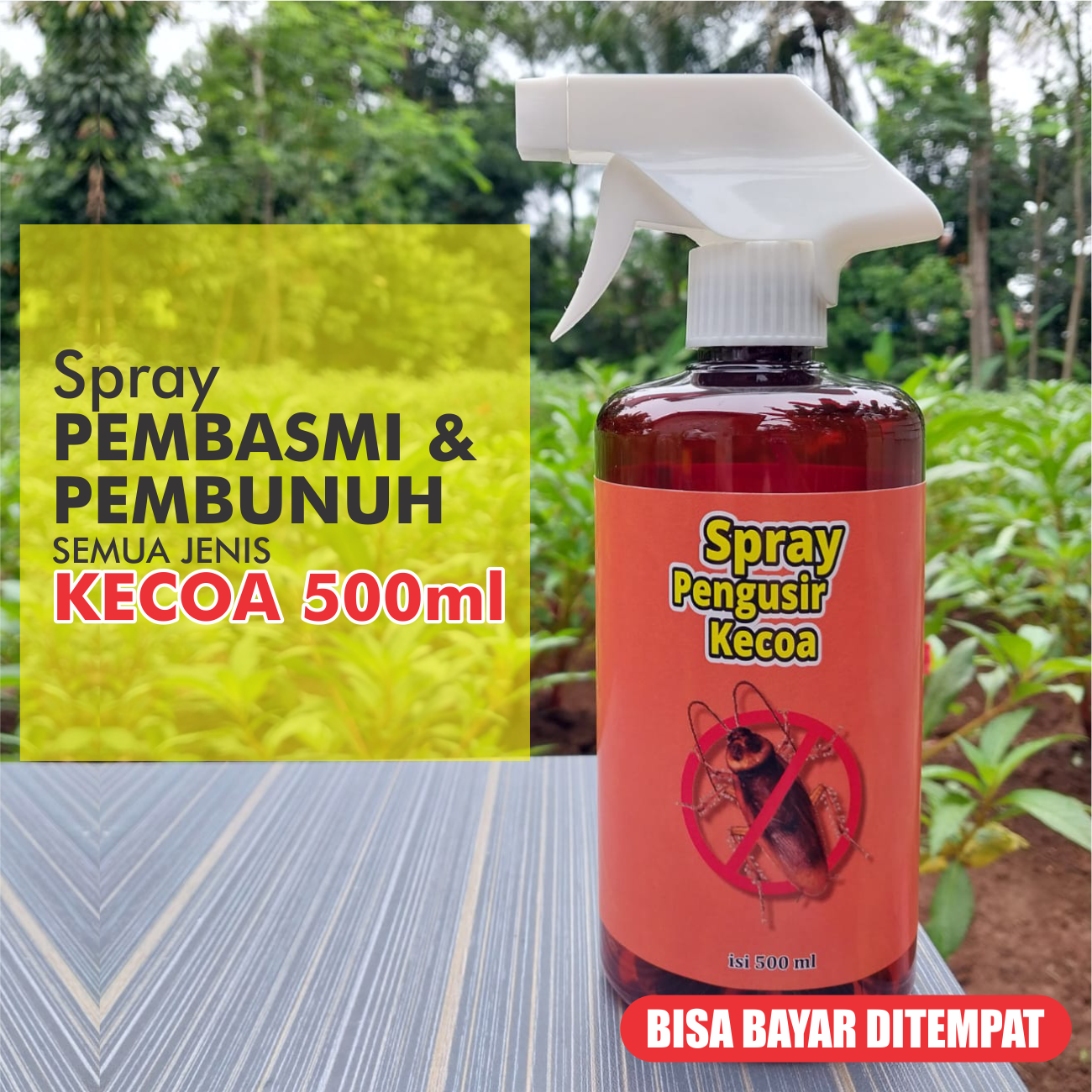 Spray PEMBASMI KECOA 250ml super ampuh! lazPick Spray PEMBASMI KECOA ...