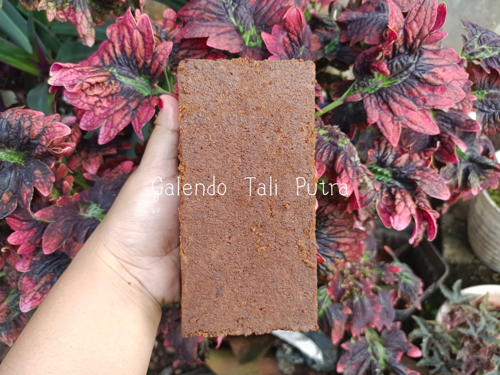 Galendo Khas Ciamis 500gram Galendo Kelapa Asli Galendo Khas ...