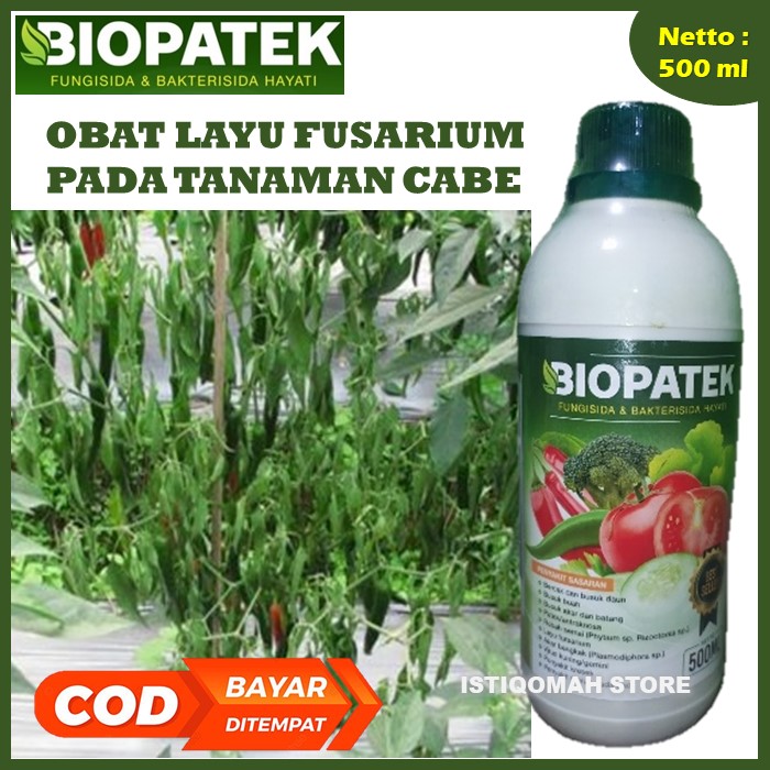 Obat Layu pada Tanaman Cabe BIOPATEK 500ML Fungisida & Bakterisida ...