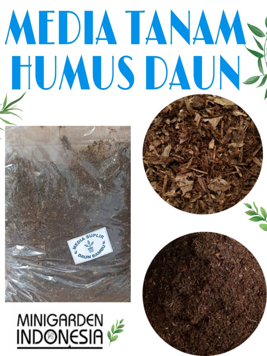 MEDIA SUPLIR HUMUS DAUN BAMBU HALUS 2KG kompos media tanam aglaonema ...