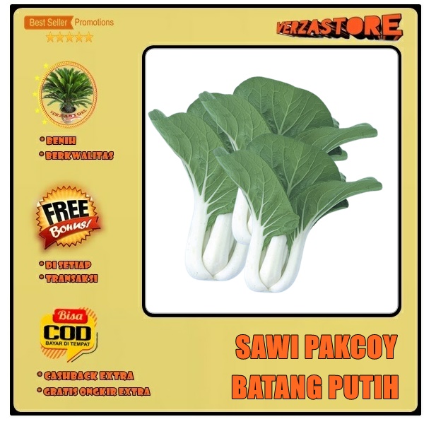 biji benih Sawi Pakcoy Batang Putih Unggul Benih Sayuran Pak Choy White ...