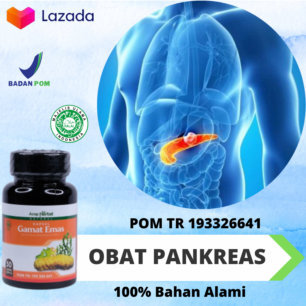 Obat Pankreas Herbal, Sakit Pankreas Akut, Pankreas Diabetes, Meredakan ...