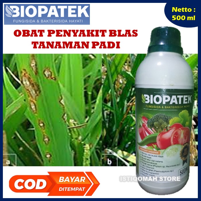 Obat Semprot Hama Merah Pada Daun Padi BIOPATEK 500ML Fungisida ...