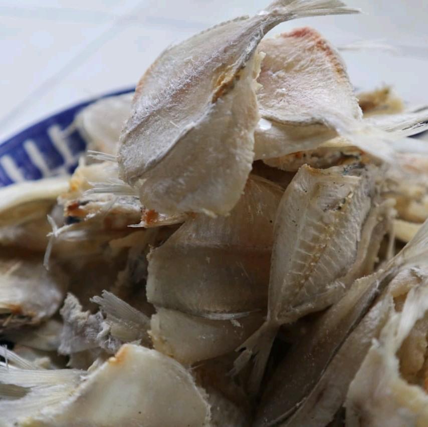 ikan kapasan/pakang tawar | Lazada Indonesia