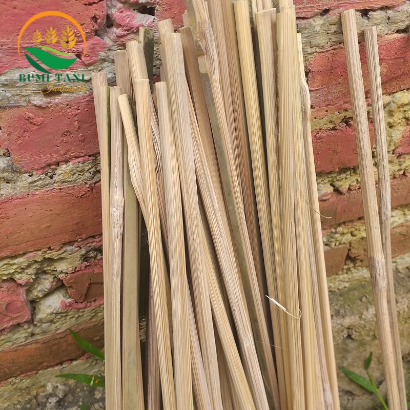 Ajir Tanaman 60 Cm - Turus Bambu Batang bilah bambu Layangan | Lazada ...