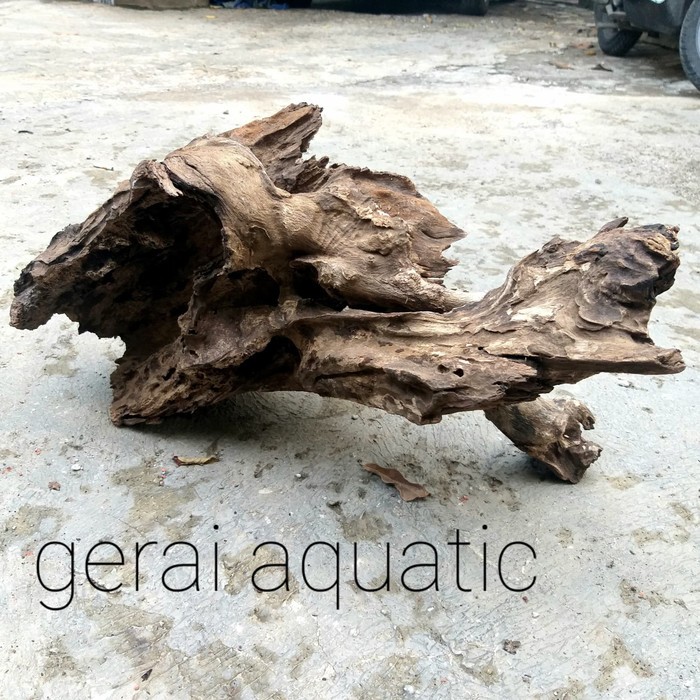 kayu rentek driftwood RK093 hardscape aquscape aquarium kolam taman ...