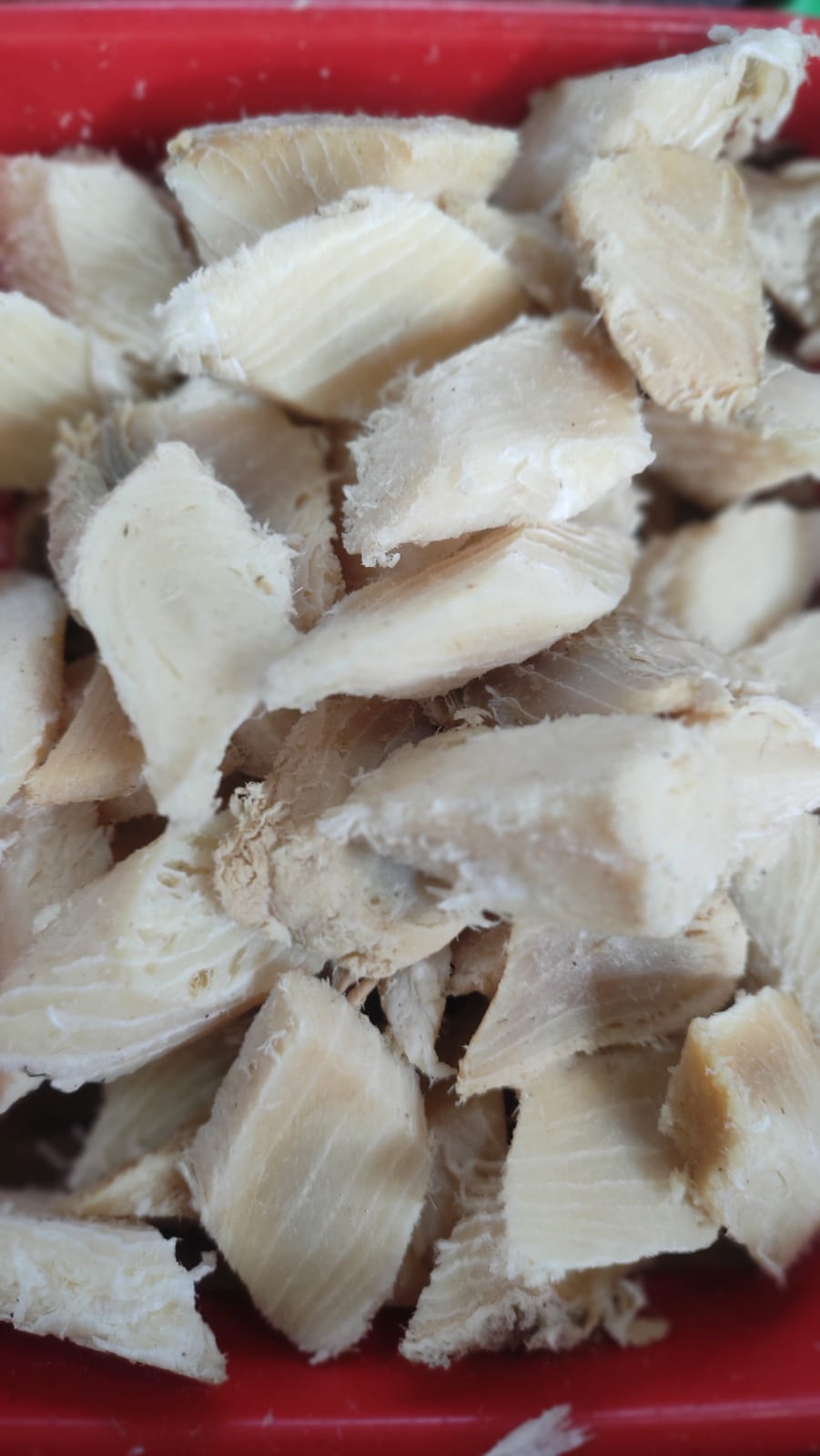 Ikan Asin Cucut Filet Super | Lazada Indonesia