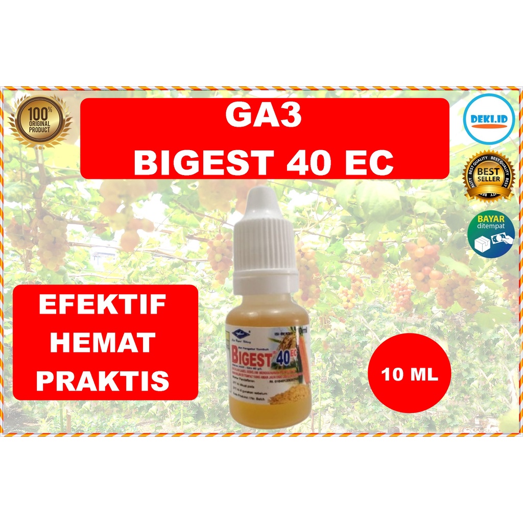 GA3 Bigest 40 EC 10 ml Hormon Giberelin Acid ZPT Biggest Zat Pengatur ...