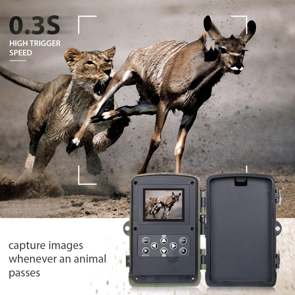 Temoo กล้องล่าสัตว์ไร้สายเส้นทาง Night Vision กล้อง hc801a 16mp 1080 ...