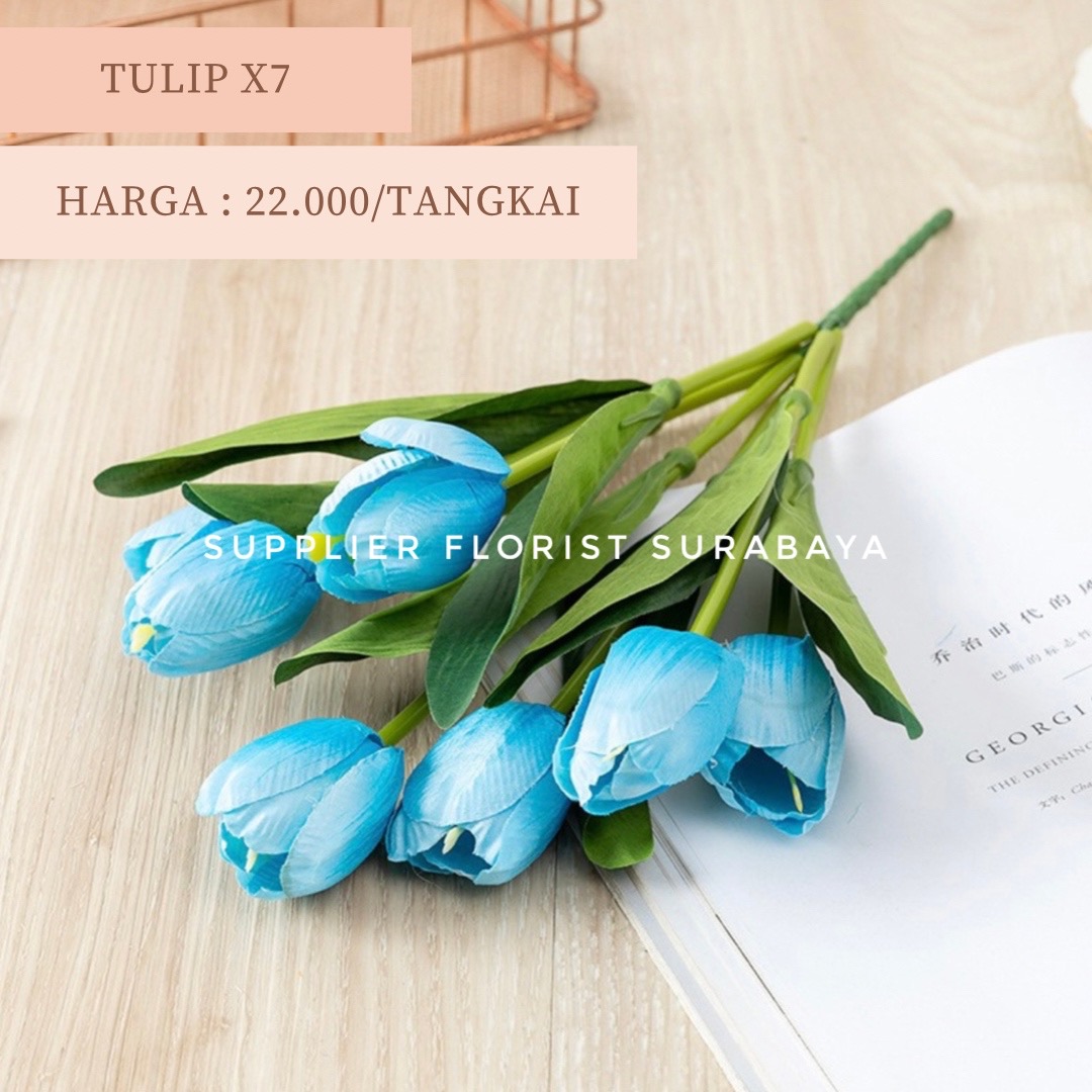 Gambar Bunga Tulip Biru