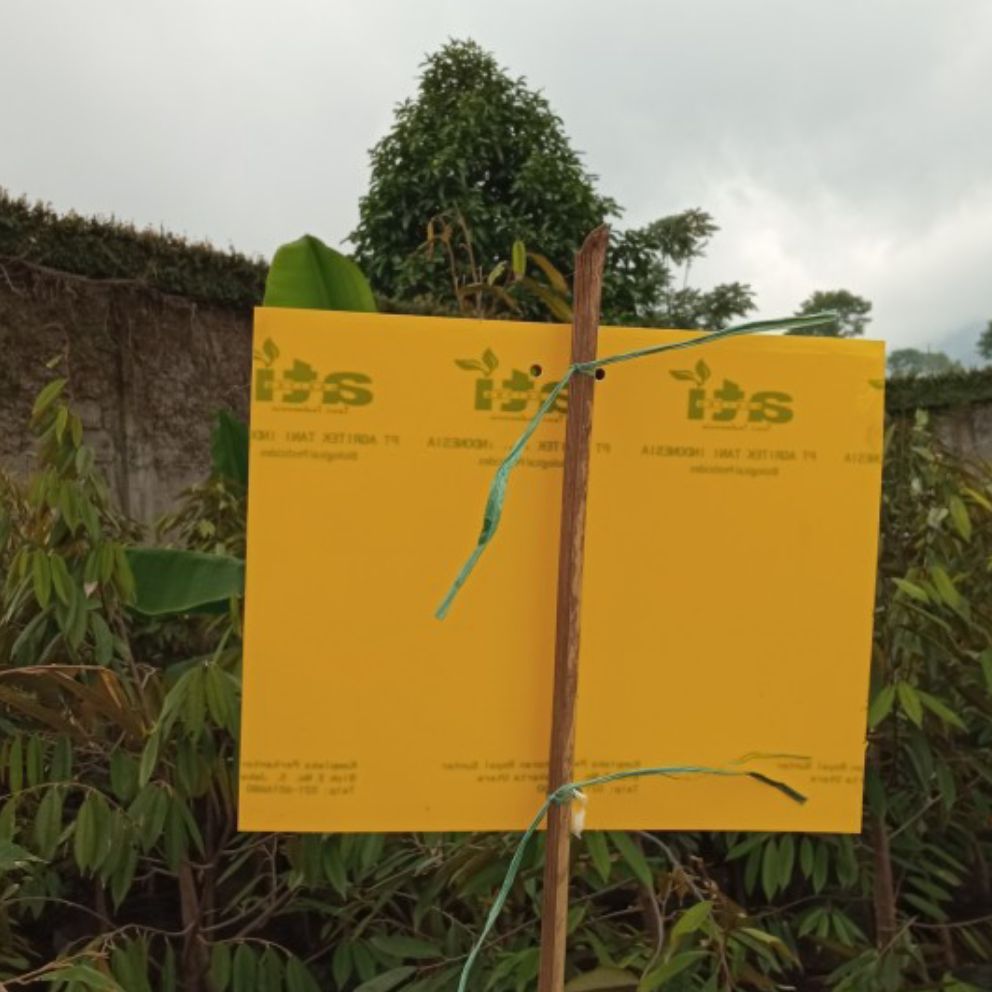 Likat Kuning 20x25 cm / Yellow trap/ Perangkap hama serangga segala ...